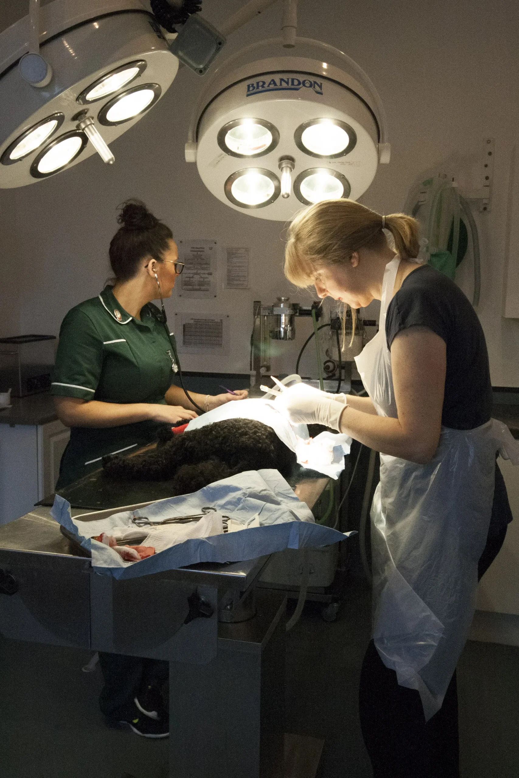 Facilities | Dalblair Veterinary Surgery
